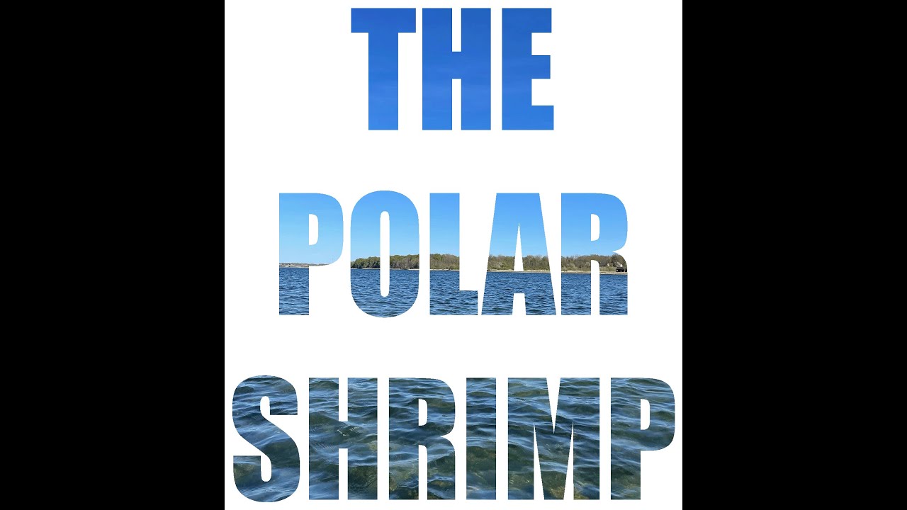 THE POLAR SHRIMP - SEATROUT FLY - FLY TYING - FLY FISHING - MICHAEL ...