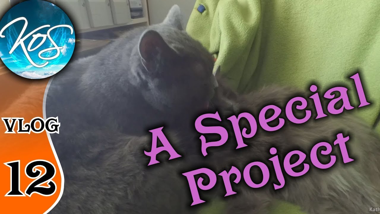 KatherineOfSky Vlog 12: Channel Update 2018-09-11 - YouTube