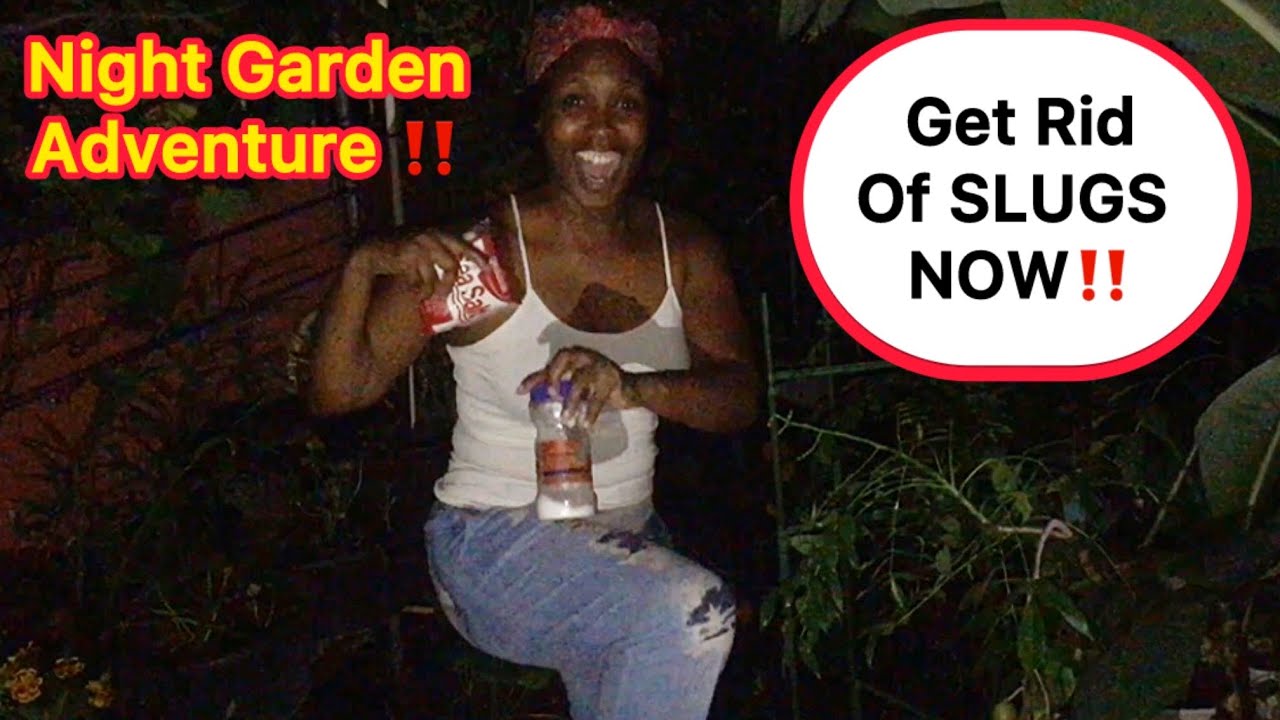 Get Rid of SLUGS at Night with Salt! - YouTube