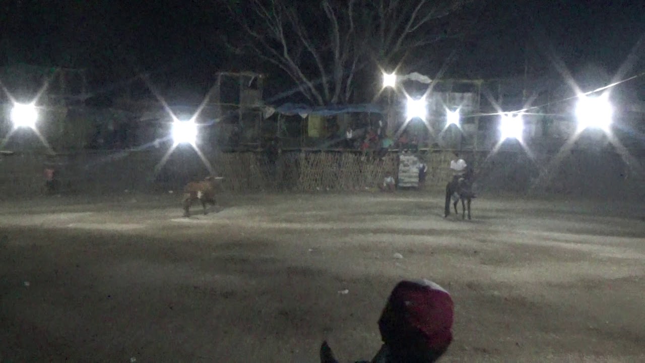 fiesta tradicional de holca yucatan 2018 - YouTube