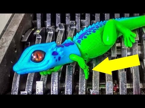 Shredding 4 Robot Lizards!! What's Inside RoboAlive Lizards! - YouTube