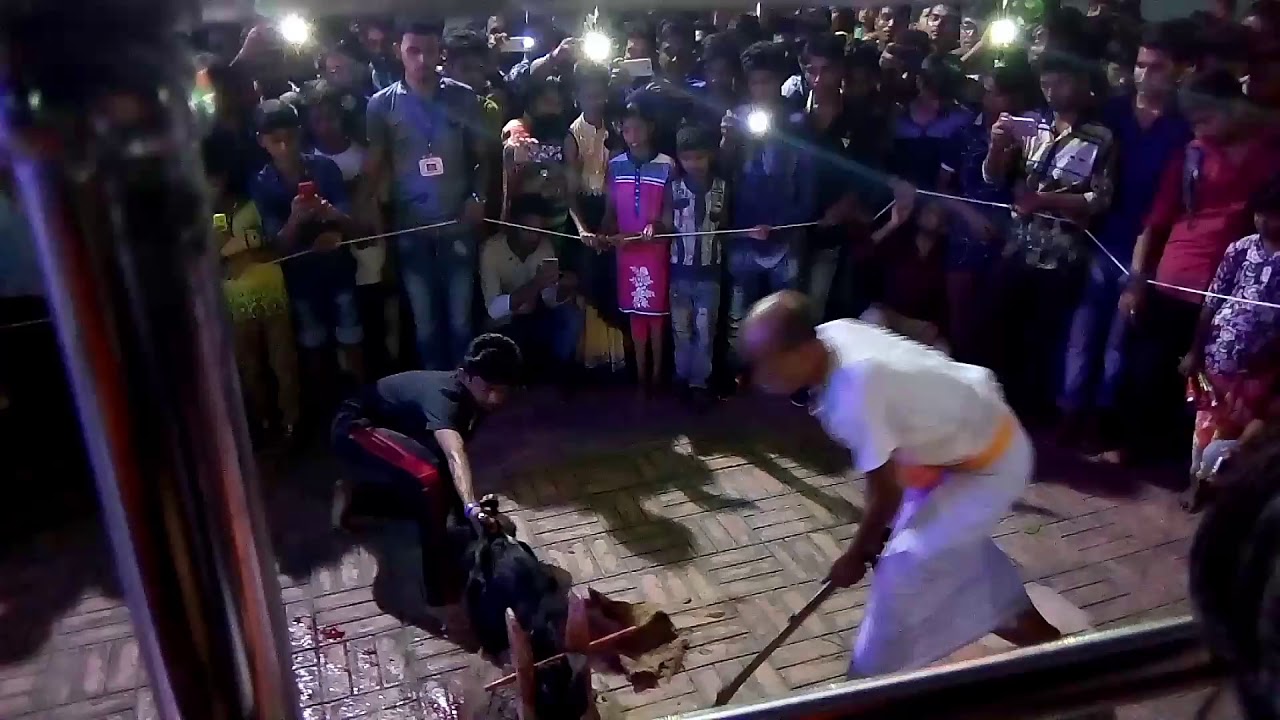 Patha boli in Kali Puja - YouTube