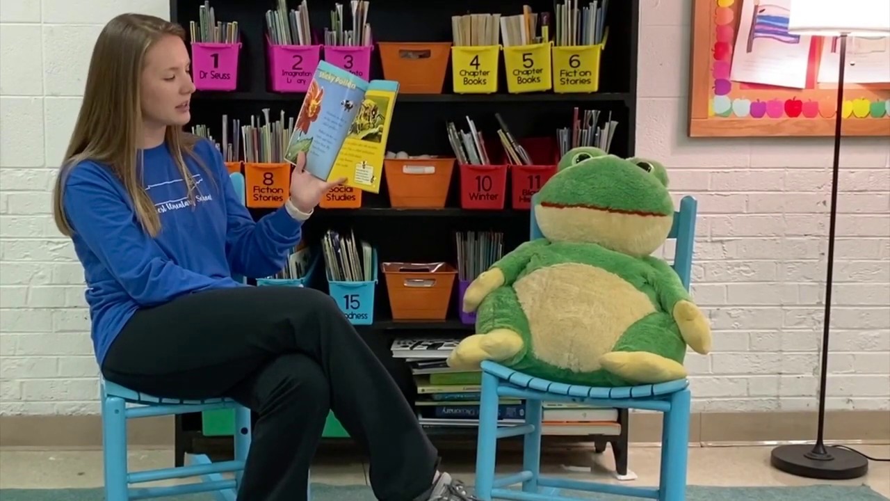 Seed To Plant (Read Aloud) - YouTube