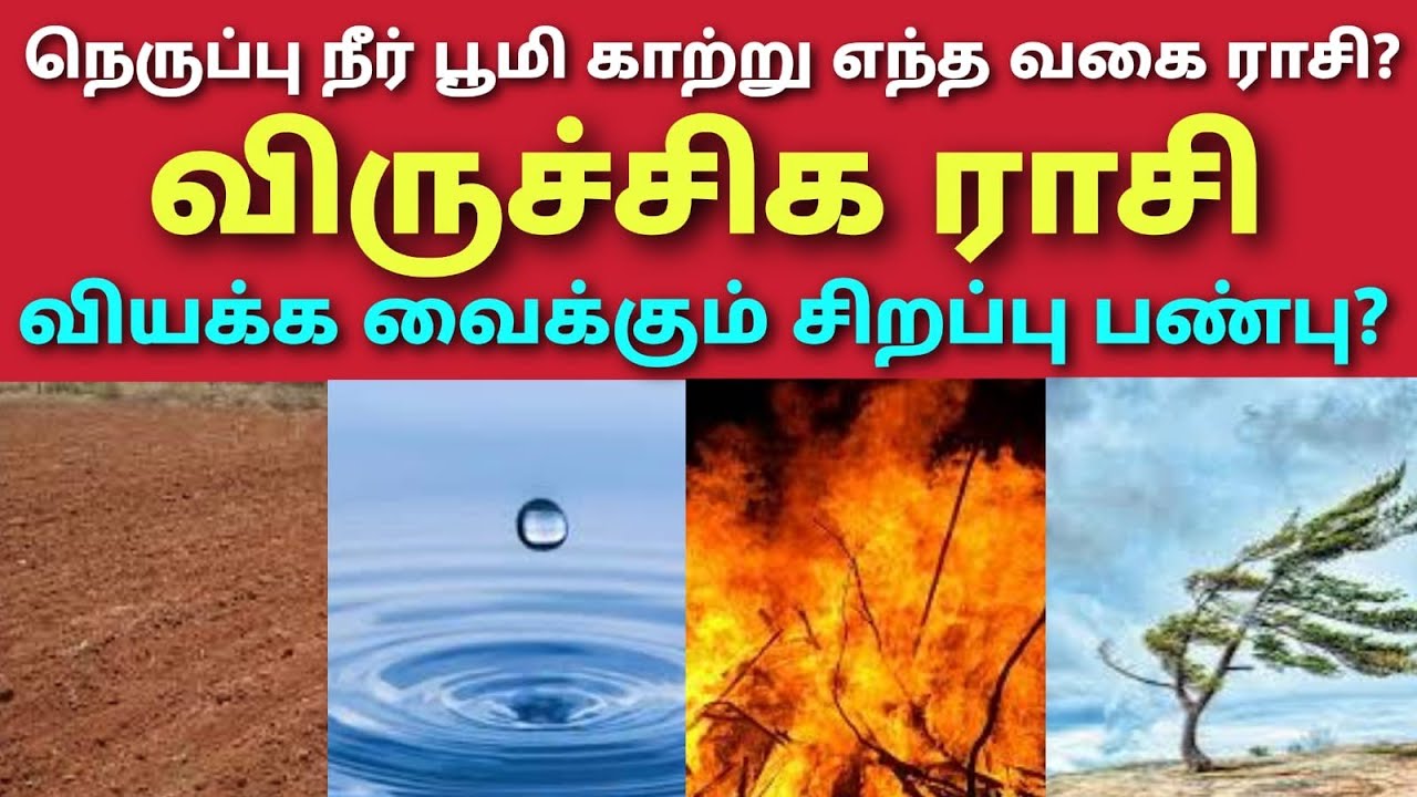 general characteristics of viruchigam in tamil viruchigam rasi gunam in ...