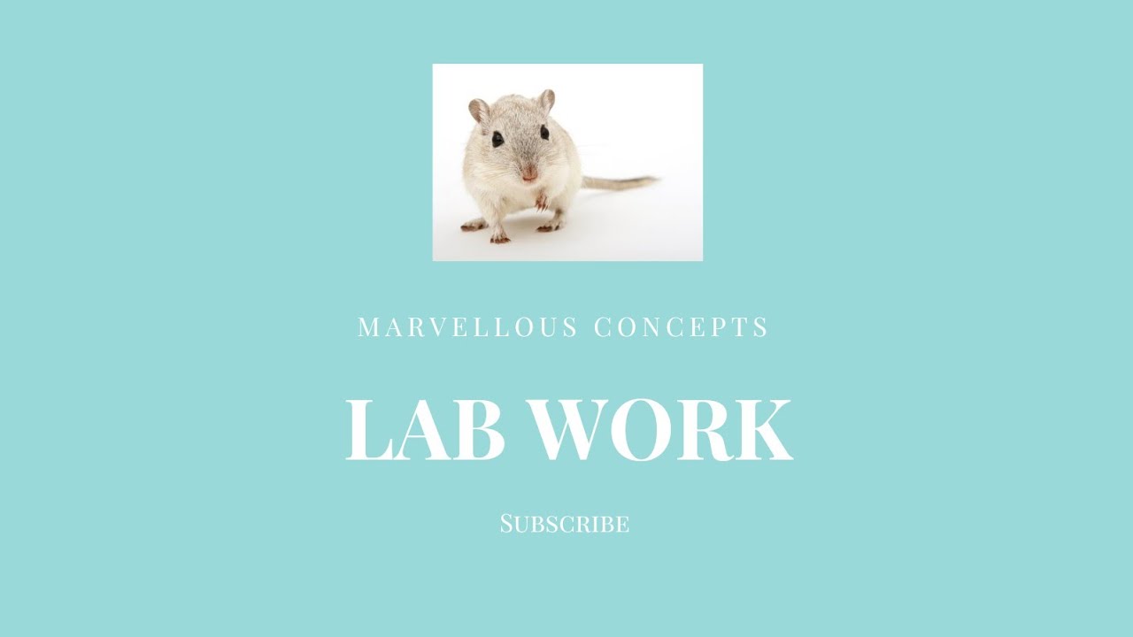 Electroconvulsiometer - YouTube