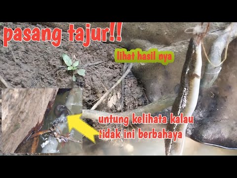 pasang tajur!!! untung kelihatan kalau tidak sangat berbahaya