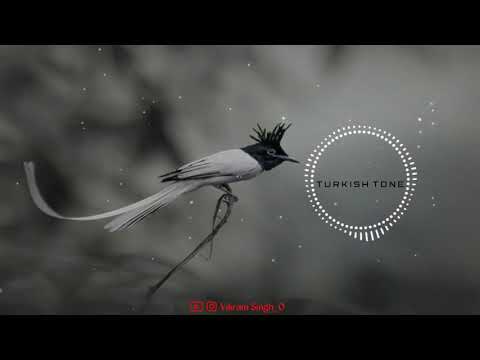 Turkish Tone | Ringtone | Turkish Ringtone | @ Vikram Singh_0