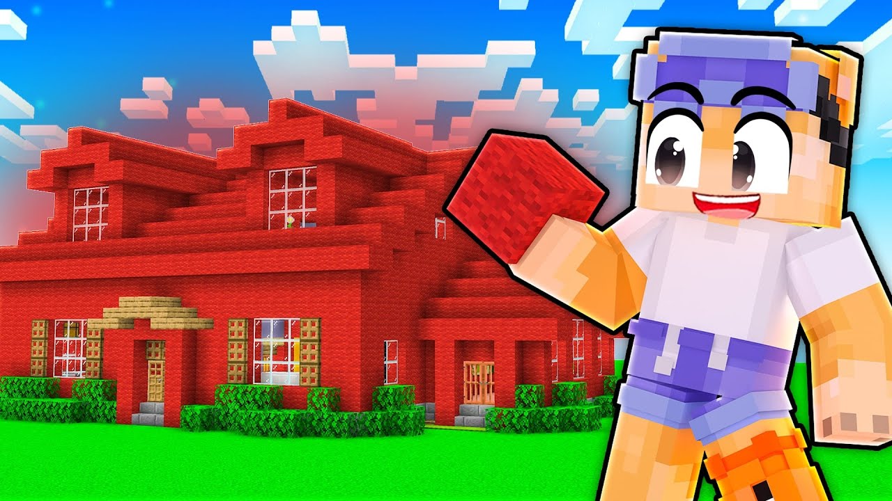 CE POTI FACE cu DOAR O CULOARE in Minecraft? - YouTube