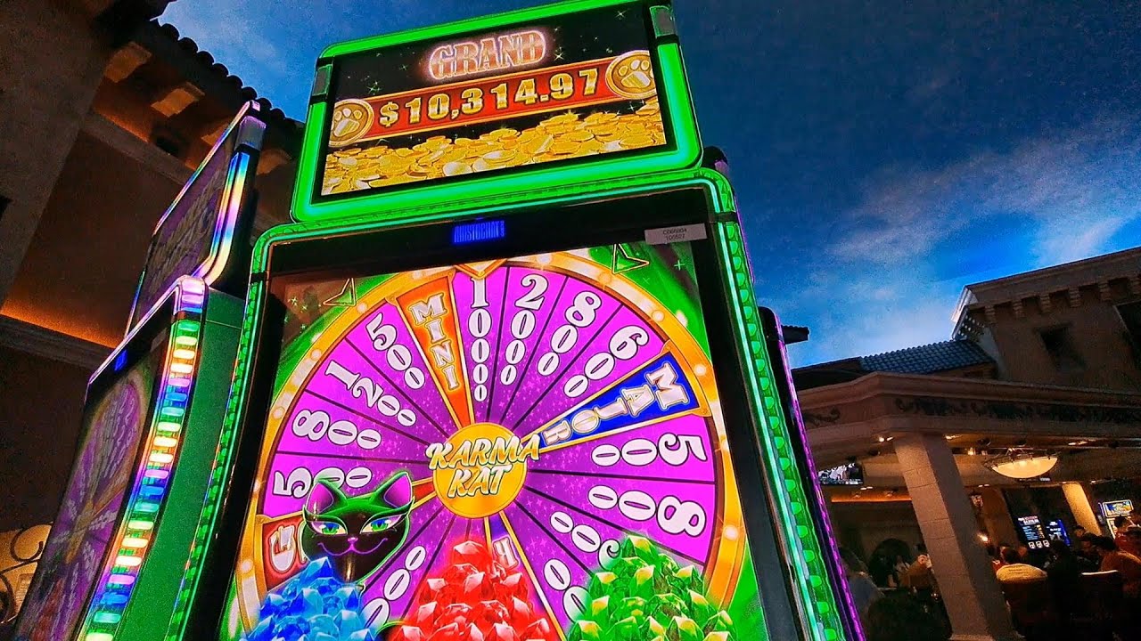 Risking $100 playing Whisker Wheel - YouTube