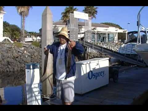 fishing with chilango (gregorio) two halibut - YouTube