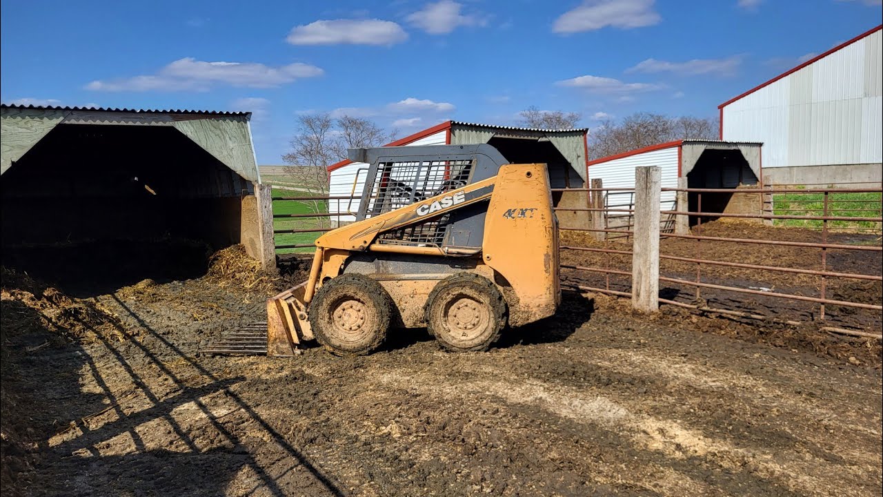 hauling manure and moving heifers - YouTube