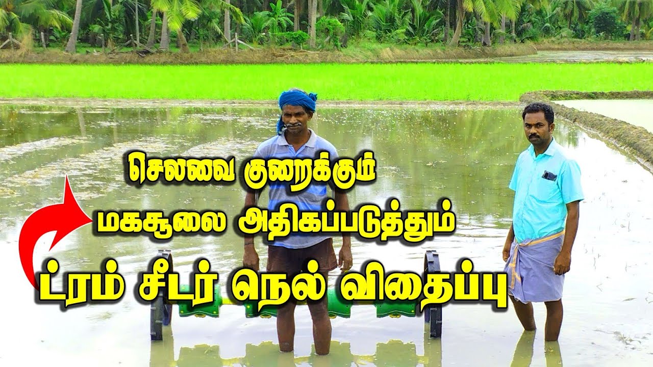 செலவை குறைக்கும் மகசூலை அதிகப்படுத்தும் ட்ரம் சீடர் நெல் விதைப்பு 🌾🌾 ...