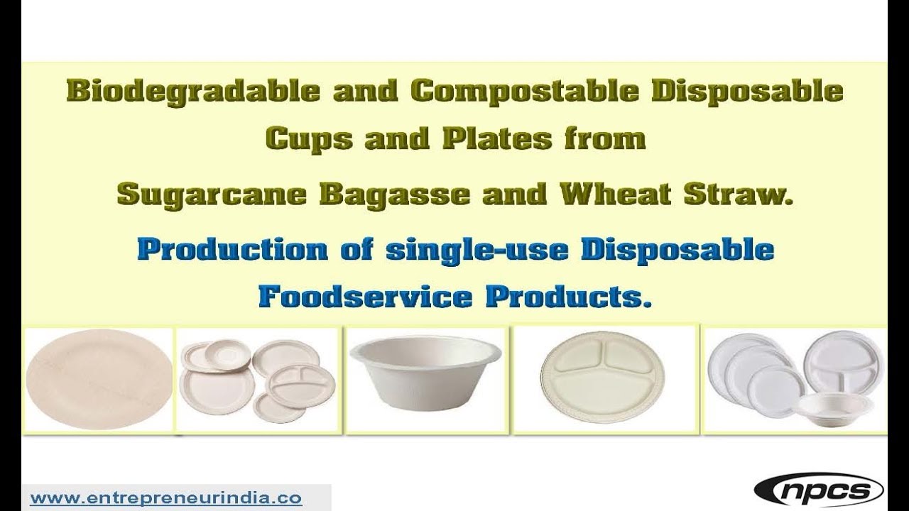Production of single-use Disposable Foodservice Products. - YouTube