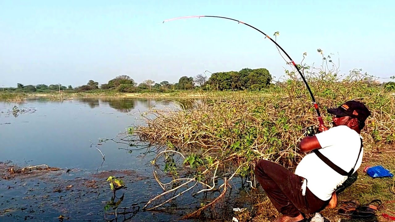 Amazing Machali Sikar | Ek Hook Se Machali ka Sikar | Ahtesham khan ...