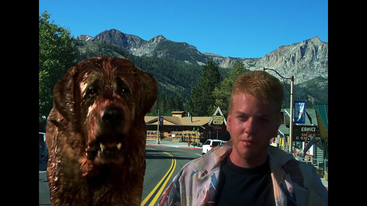Cujo kills John Ace Merrill - YouTube