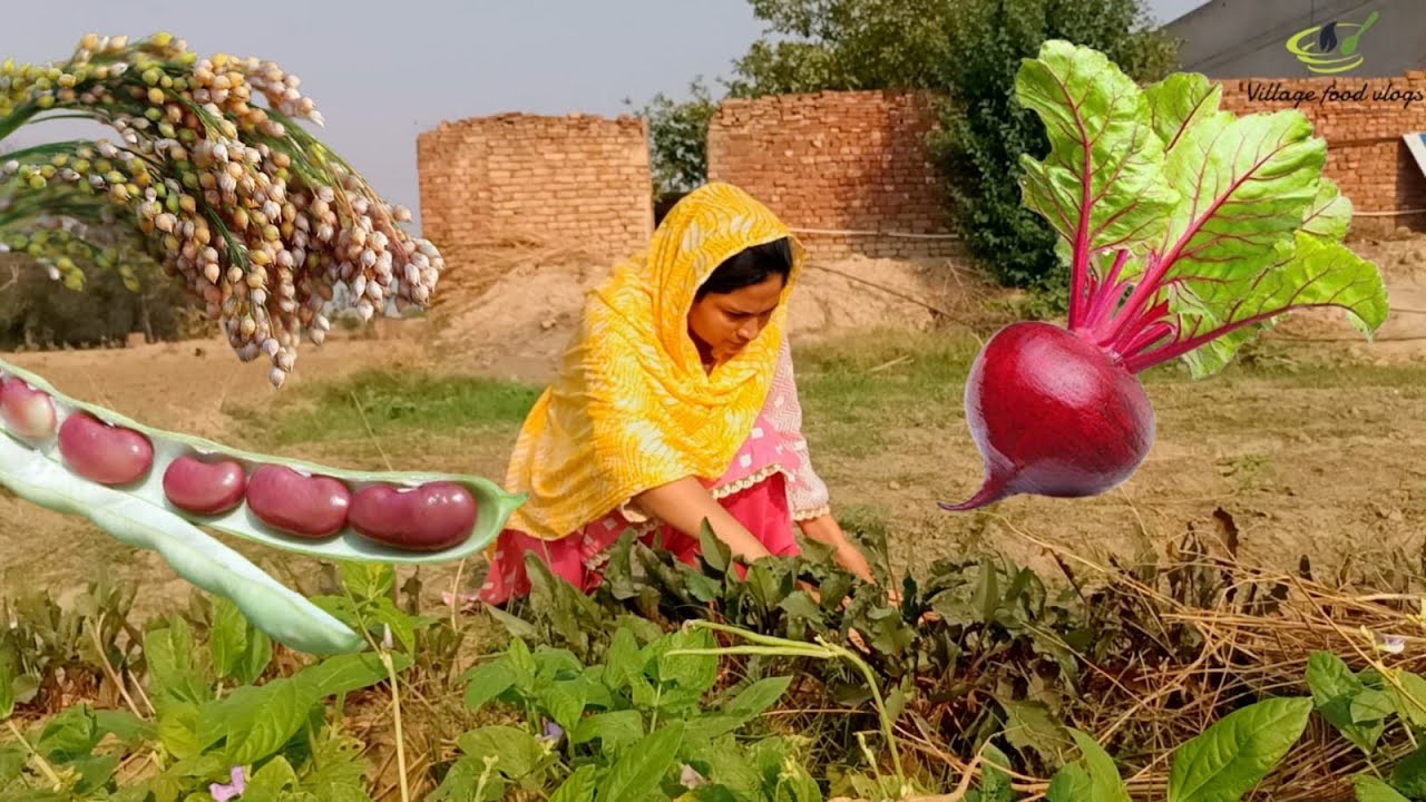Beetroot curd with browntop millet & Kidney beans pulao | Chakander ...
