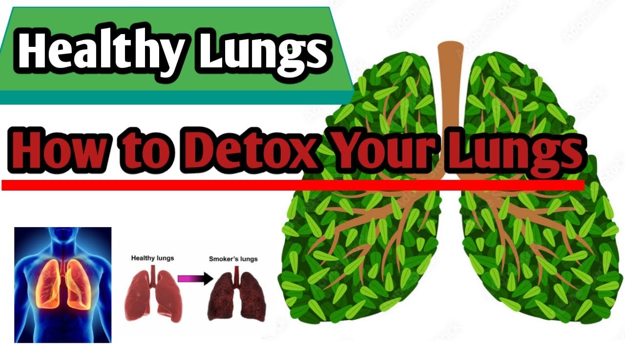 How to Detox Your Lungs at Home || Lungs Detoxification for Smoker ...