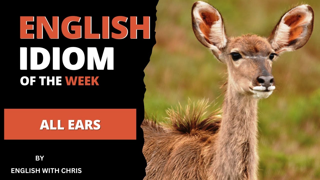 Must Know English Idiom of the week: All Ears (Includes spoken examples ...