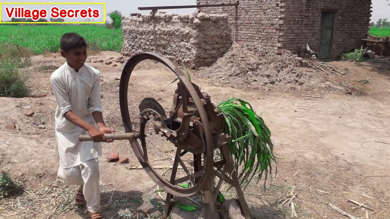 Village Life in Pakistan Rural Life Real village life | daily routine ...