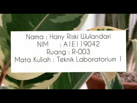 Nama : Hany Riski (A1E119042) Teknik penyambutan klien dalam kegiatan ...