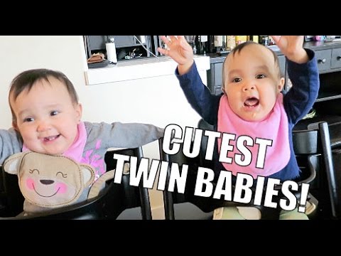 Cutest Twin Babies! - February 08, 2015 - ItsJudysLife Vlogs - YouTube