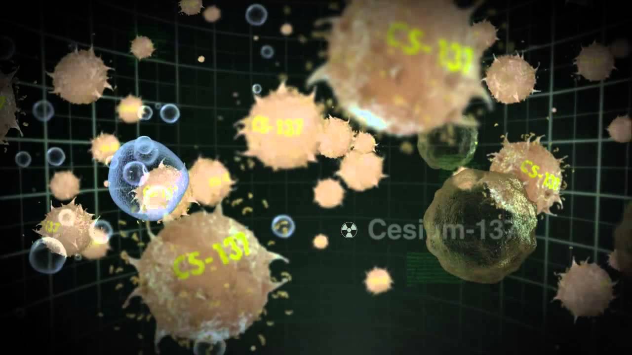 Propectin - How it works in our body - English - YouTube