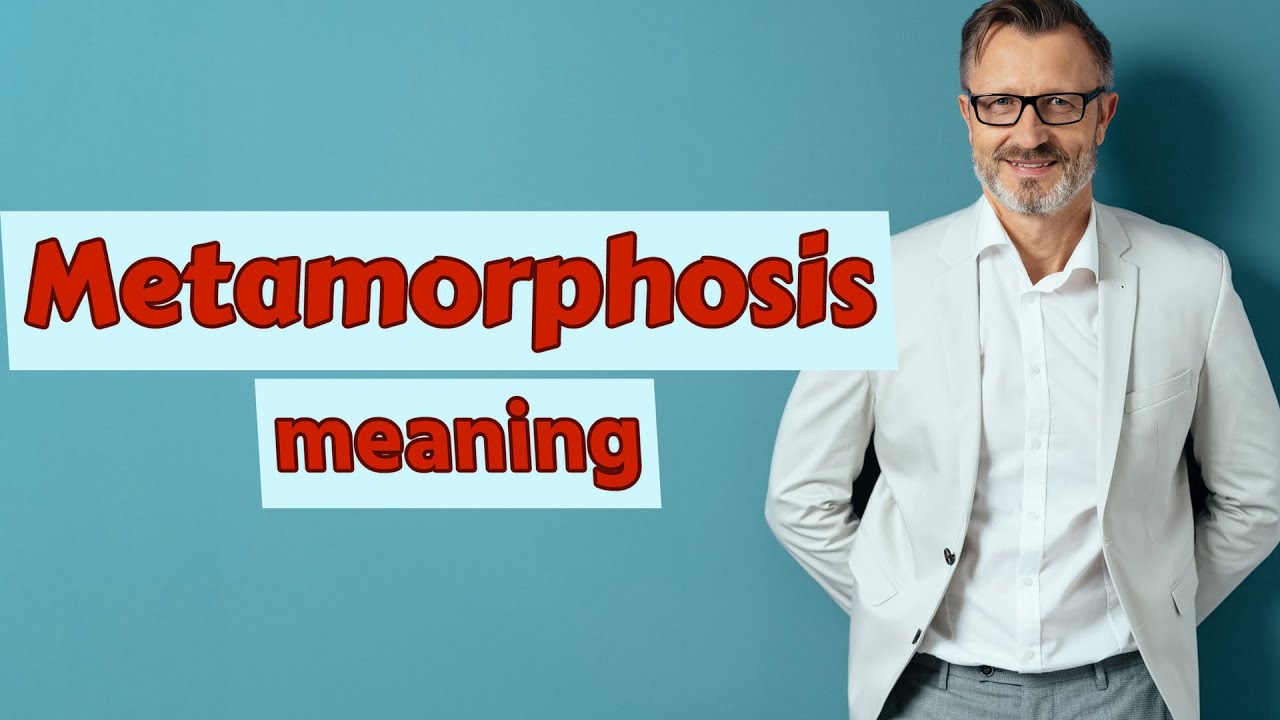 Metamorphosis | Definition of metamorphosis 📖 📖 📖 📖 - YouTube