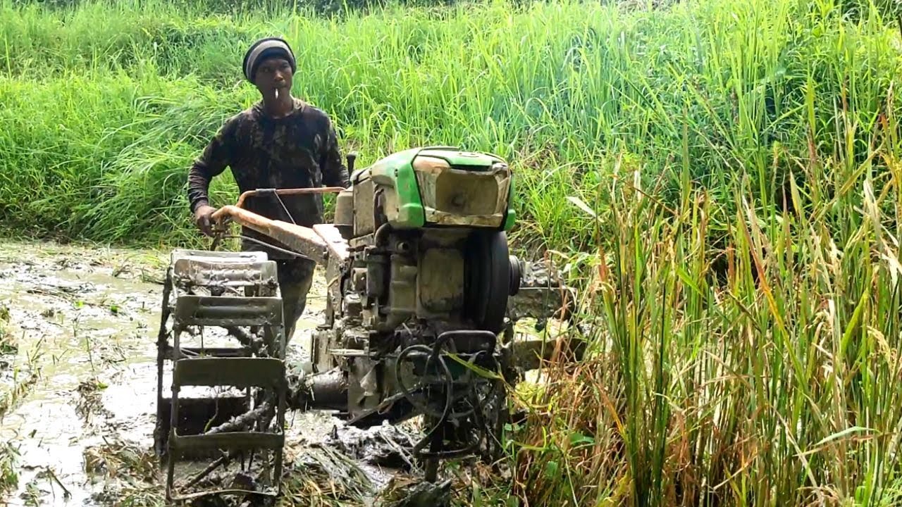 Traktor Sawah Kerja Bajak Lahan Terasering Libas Habis Jerami Lebat ...
