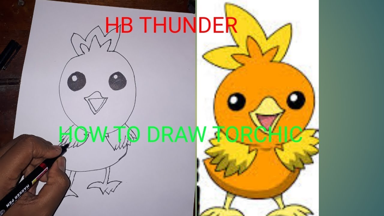 HOW TO DRAW TORCHIC ||HB THUNDER|| - YouTube