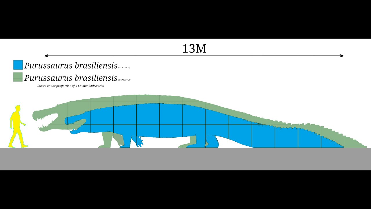 Purussaurus brasiliensis, the biggest, baddest crocodile of all time ...