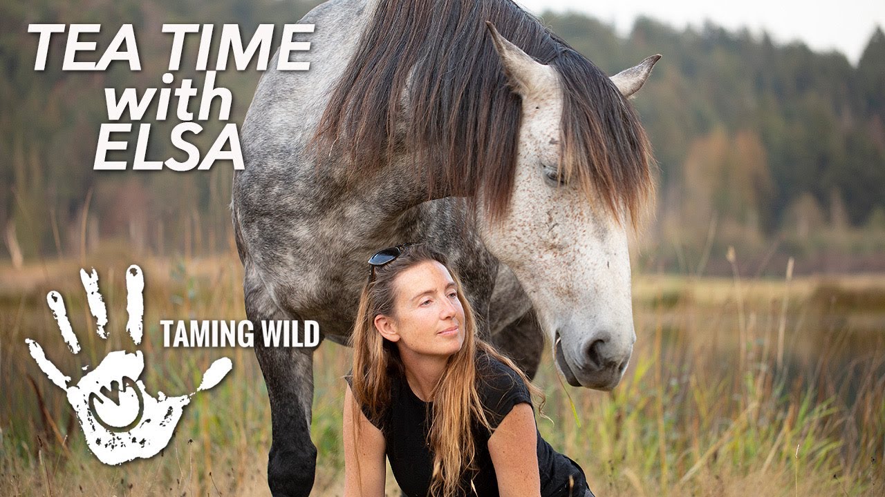 Tea With Elsa Episode 197 - YouTube