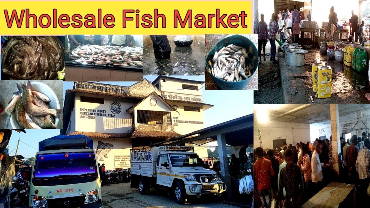 Wholesale and Local Fish market in Assam, India - YouTube