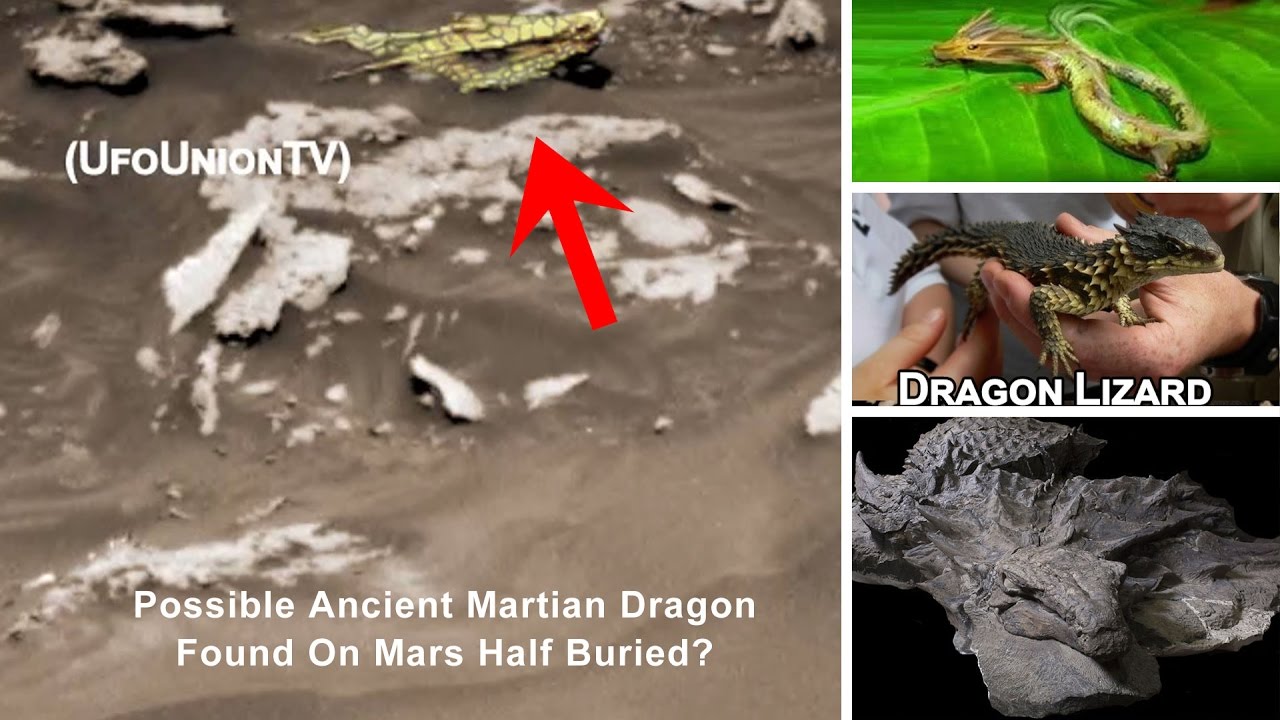 Possible Martian Dragon Found On Mars Half Buried - YouTube
