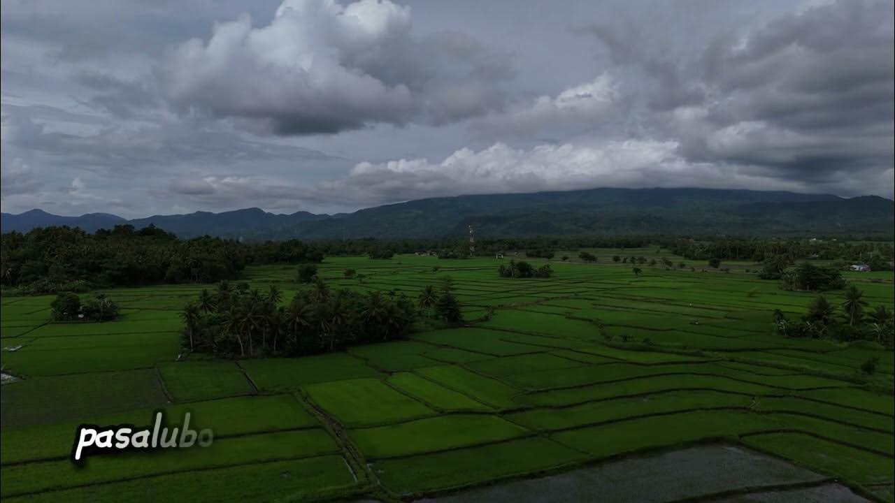 Padaba taka by Dwta - YouTube