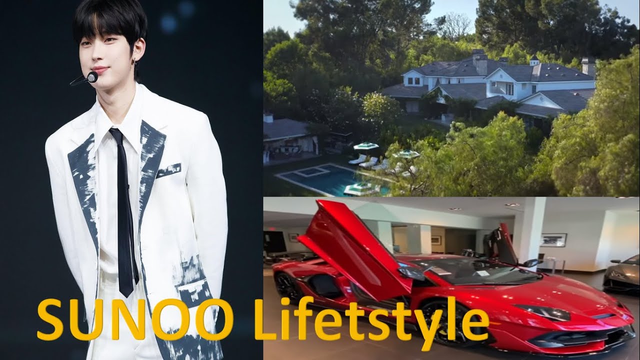 ENHYPEN SUNOO Biography, Career, family and fact - YouTube