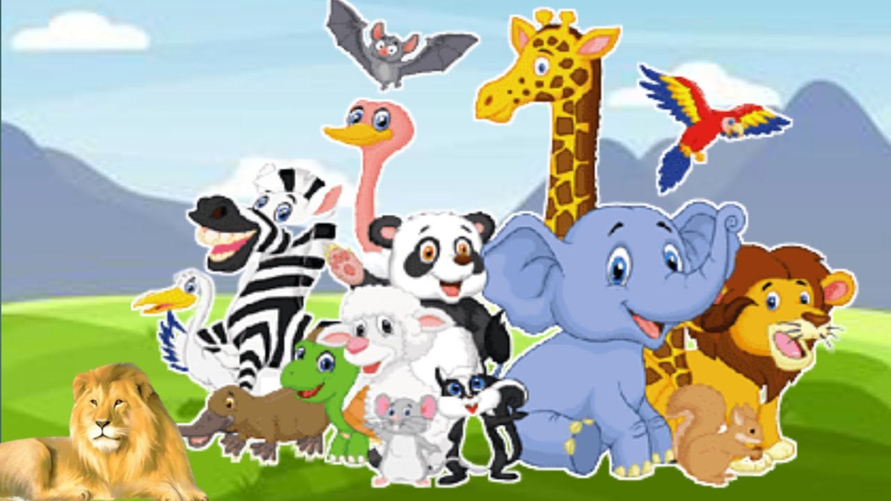 The sound of all the animals on earth,fox lions, elephant, Bird ...