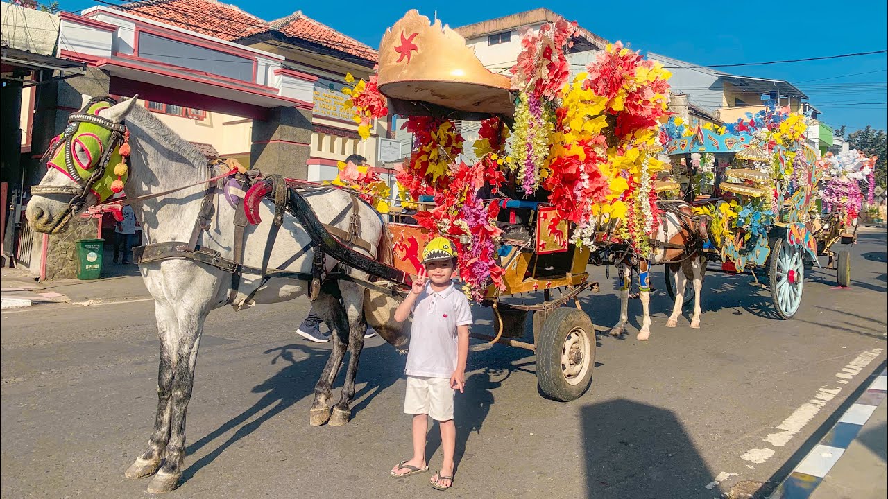 kuda | wisata kuda di kuningan | delman hias kuningan | kuda delman ...