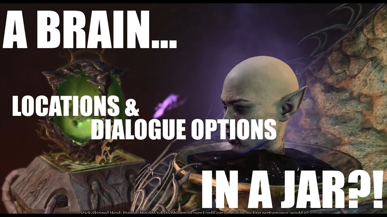 A brain in a jar?! | BG3 Necrotic Laboratory Dialogue Options | ALL ...
