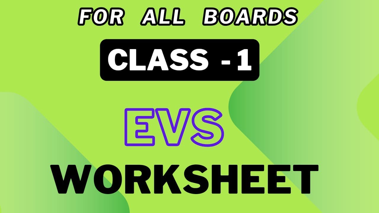 Class 1 EVS Worksheet || EVS Worksheet for Class 1st || Grade 1 EVS ...