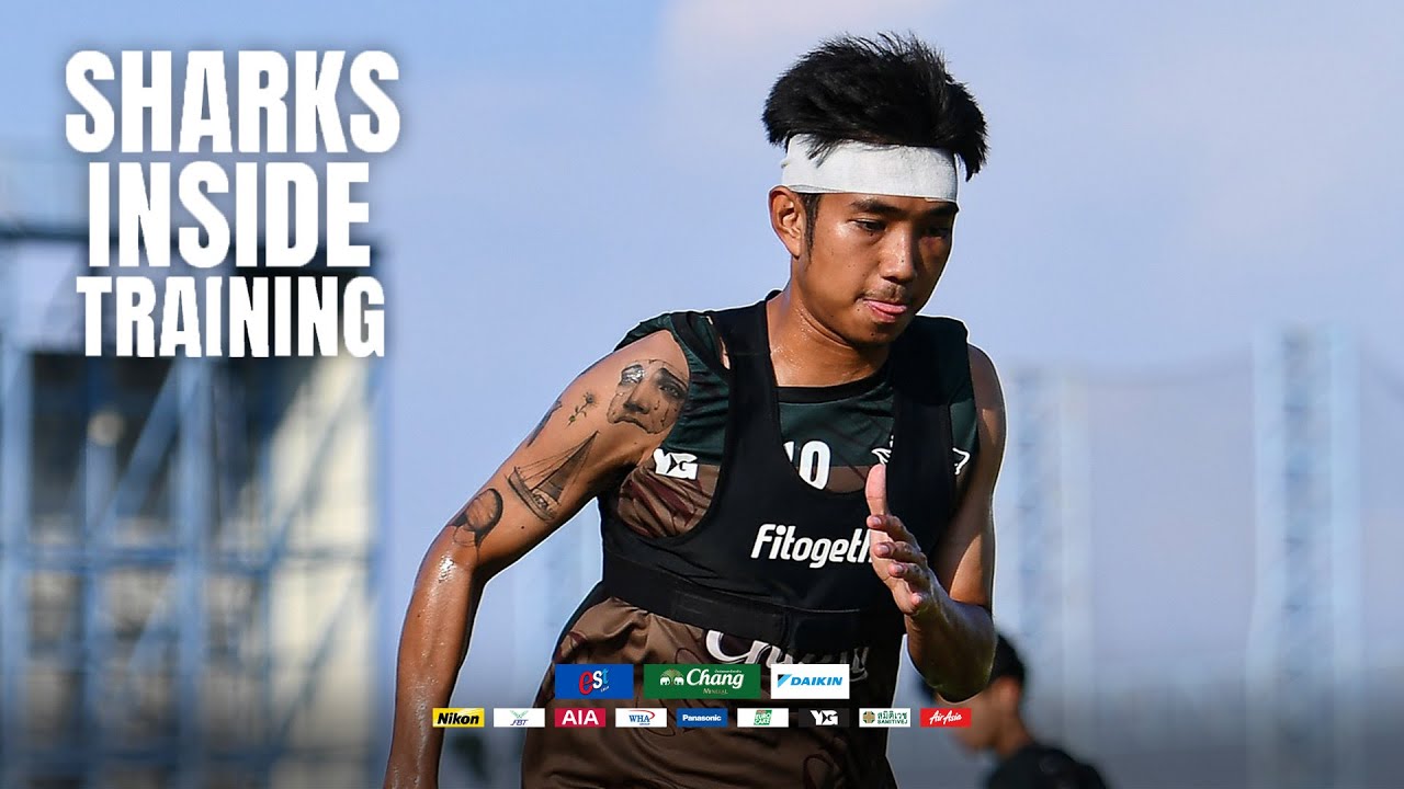 🦈 SHARKS Inside Training : Strength, possession and aggression 💪 - YouTube