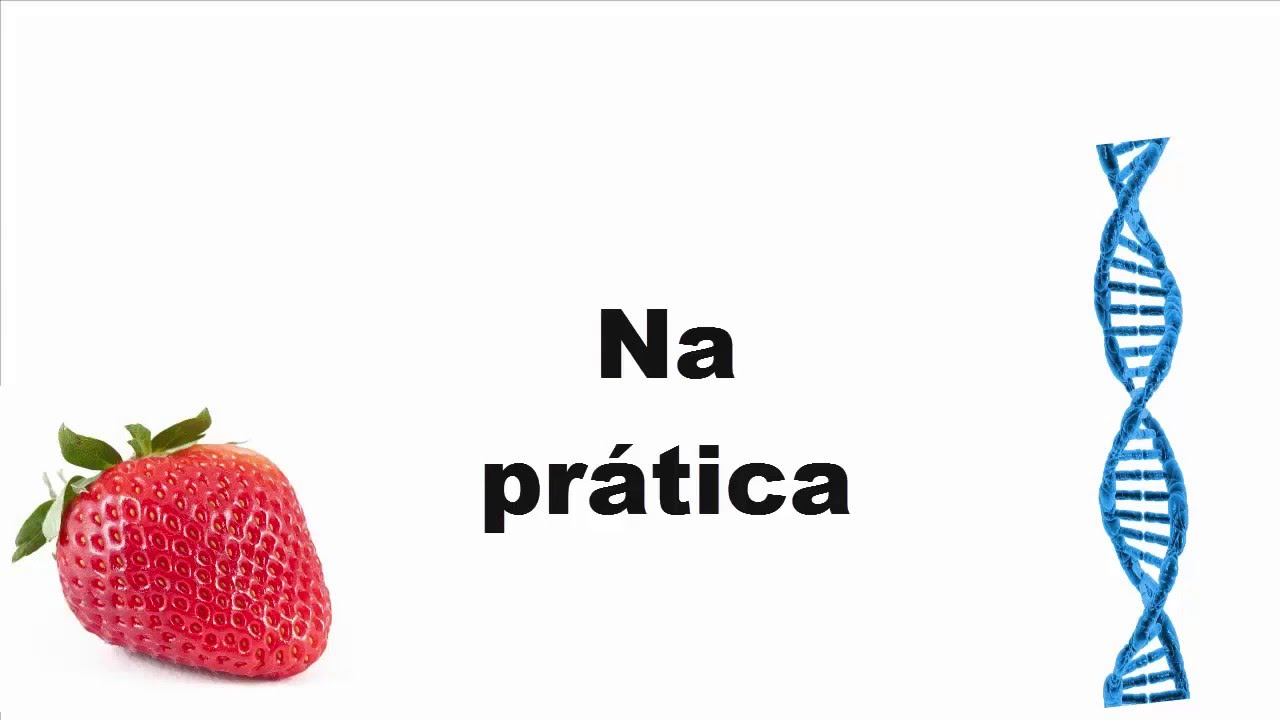 Como extrair o Dna de um Morango⚠️ Explore a Adrenalina do Jogo Online ... Como extrair o Dna de um Morango⚠️ Explore a Adrenalina do Jogo Online ...