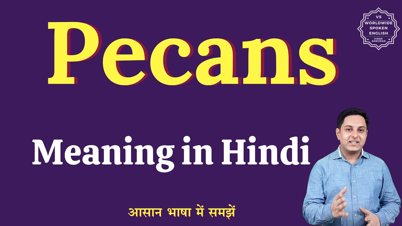 Pecans meaning in Hindi | Pecans ka matlab kya hota hai | English to ...