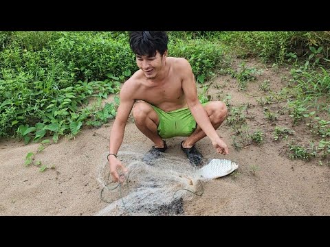 ntau ntses nej naj phua mag cov loj kawg hnub tib ob 22/5/2022