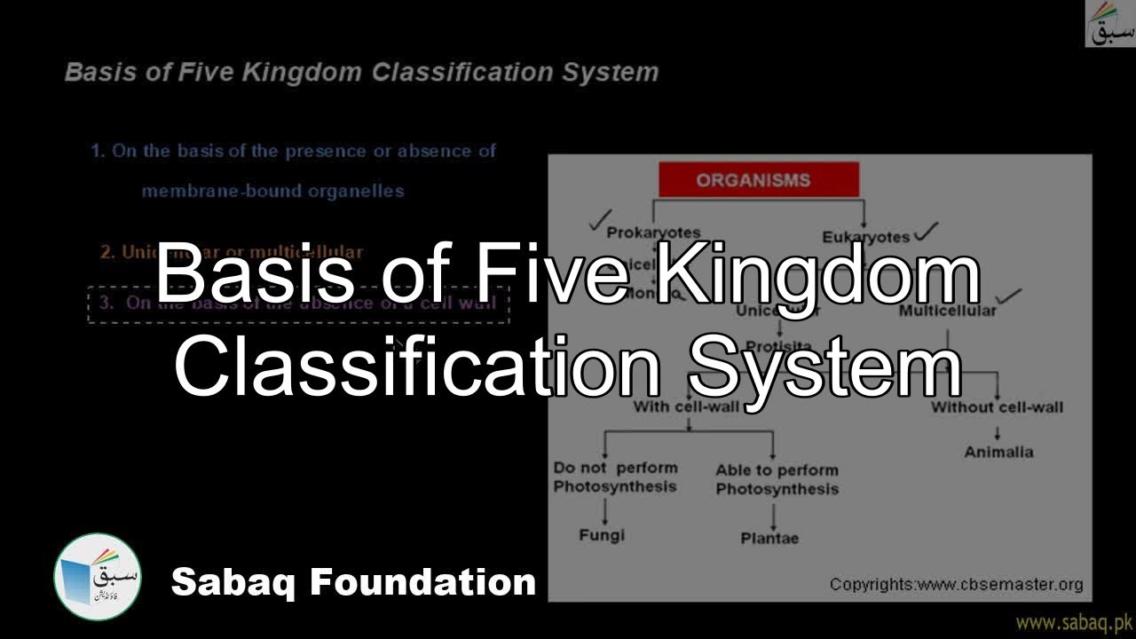 Basis Of Five Kingdom Classification System Biology Lecture Sabaqpk Youtube