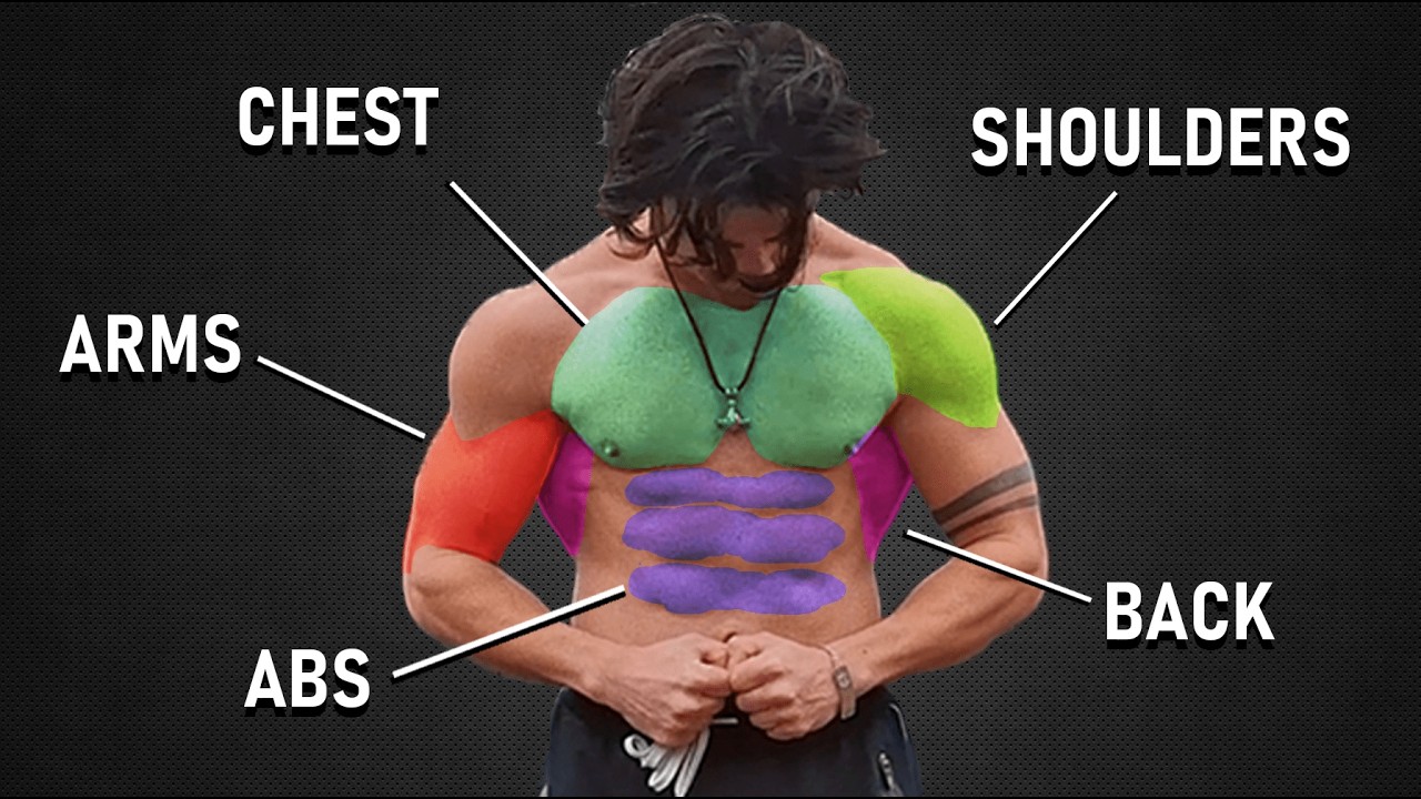 Train These 5 Muscle Groups to Build Aesthetics - YouTube