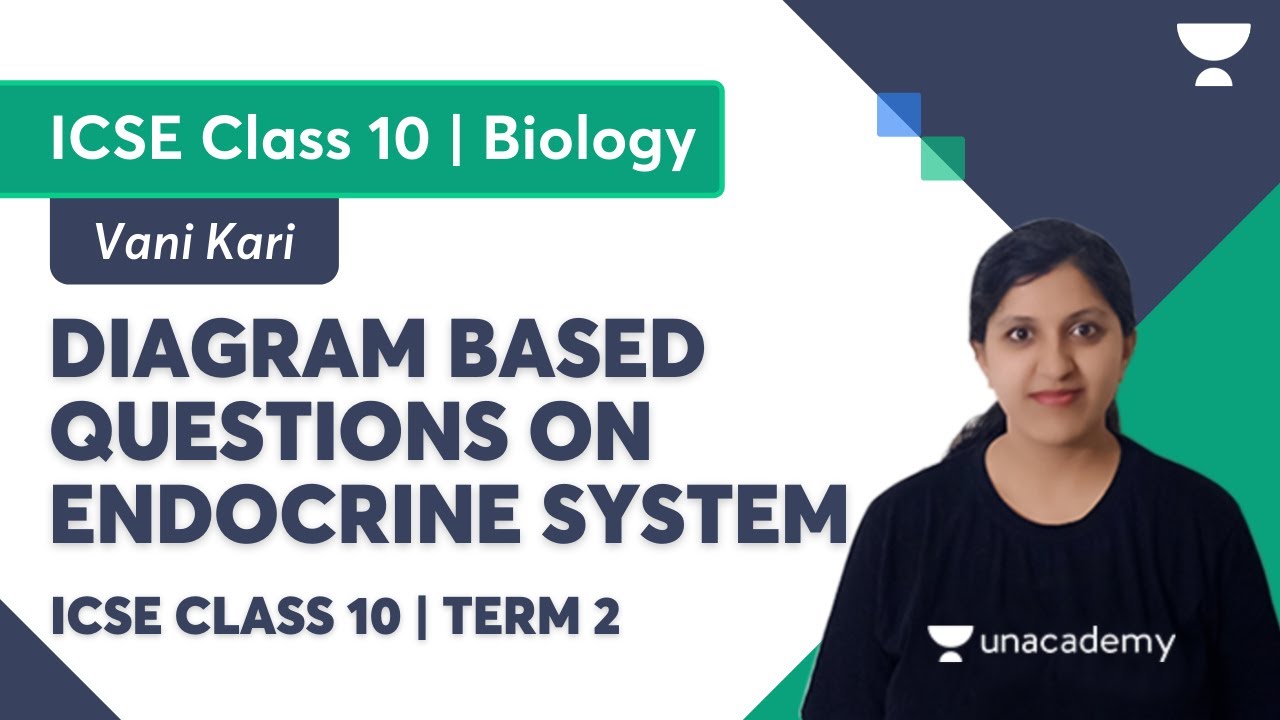 Diagram Based Questions on Endocrine System | ICSE Class 10 I Biology ...