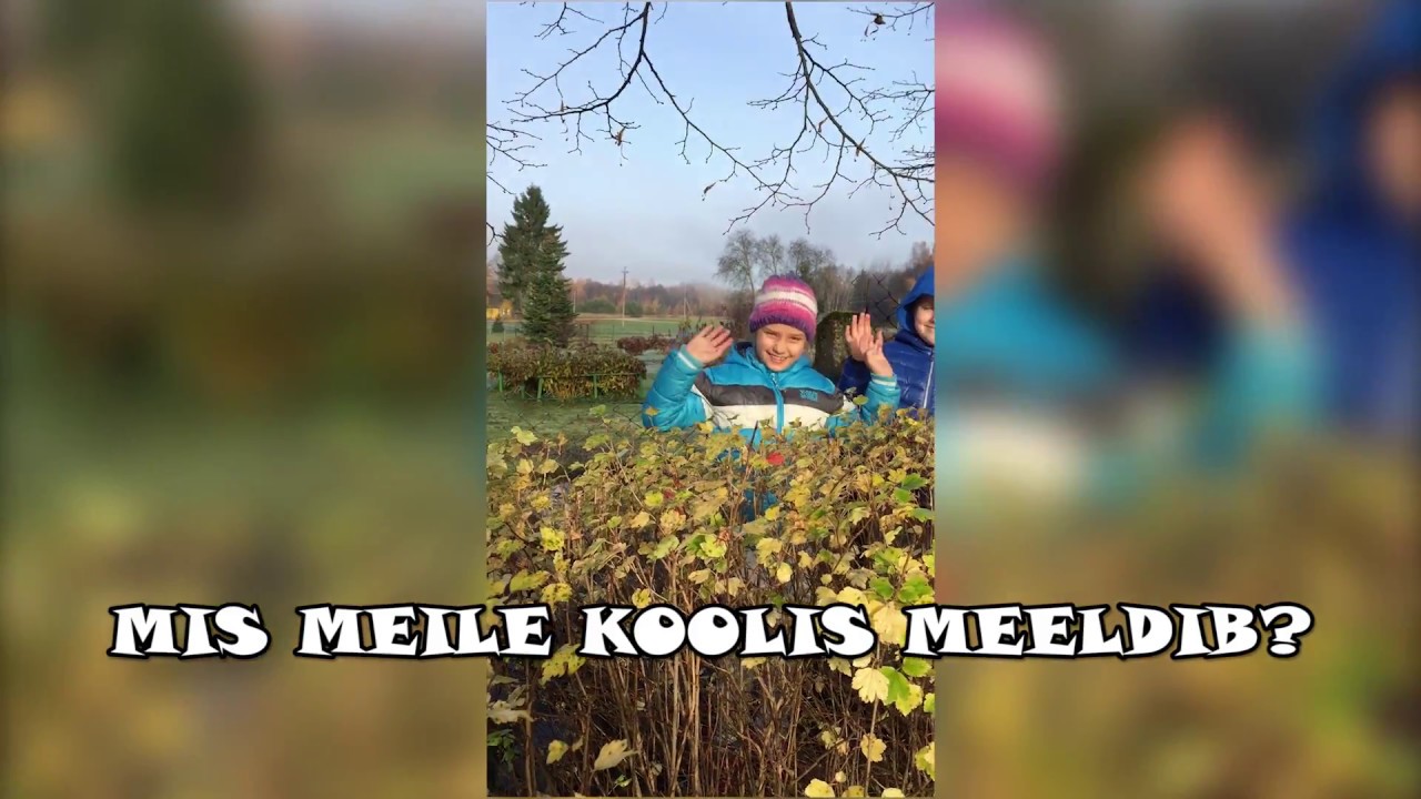 Ala Pesapuu - YouTube