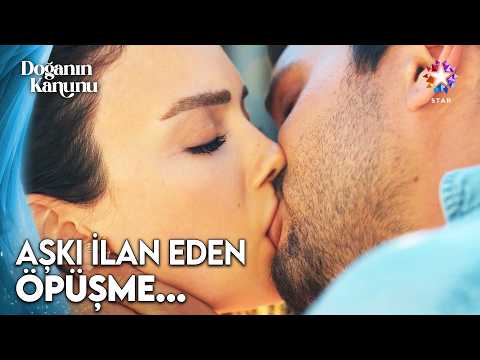 Dudak Dudağa Aşklarını İlan Ettiler... | Doğanın Kanunu 11. Bölüm