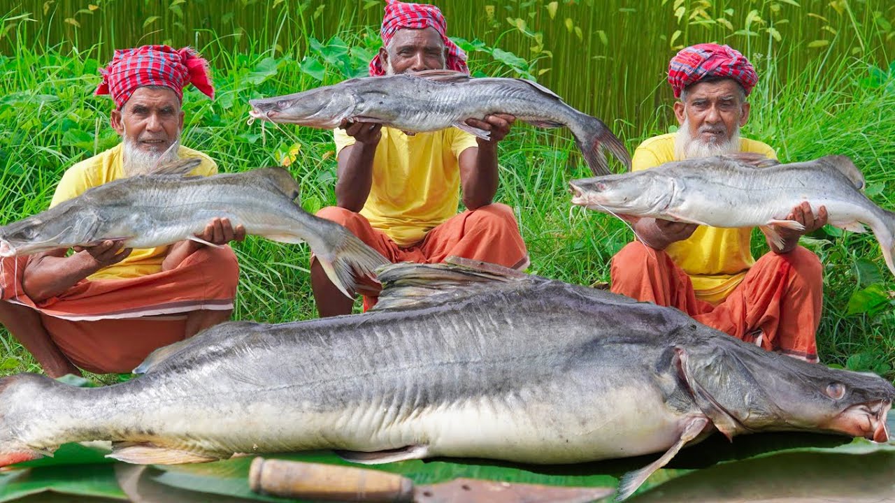 The Giant River-Catfish Cutting & Cooking - Expensive Ayer Fish Curry ...