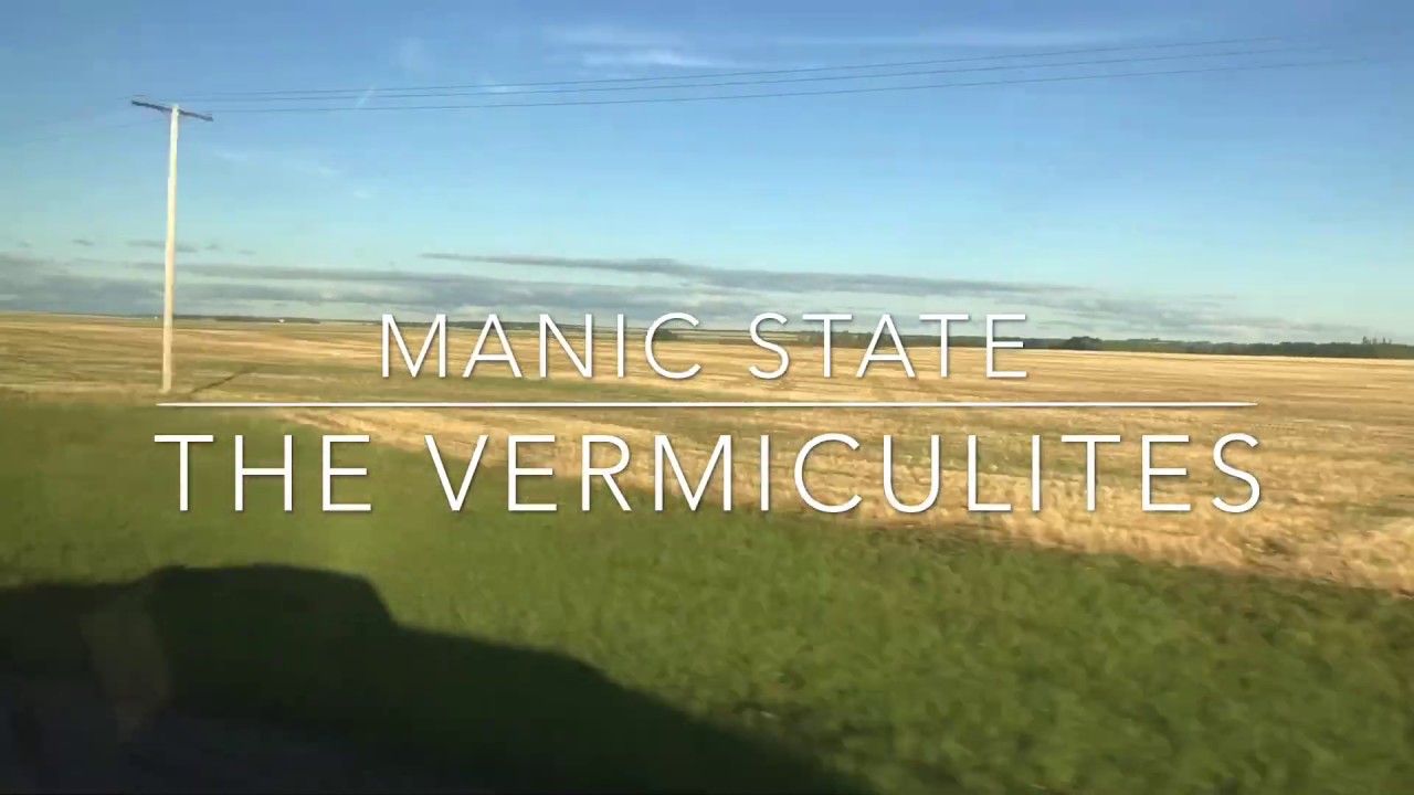 Manic State - The Vermiculites - YouTube